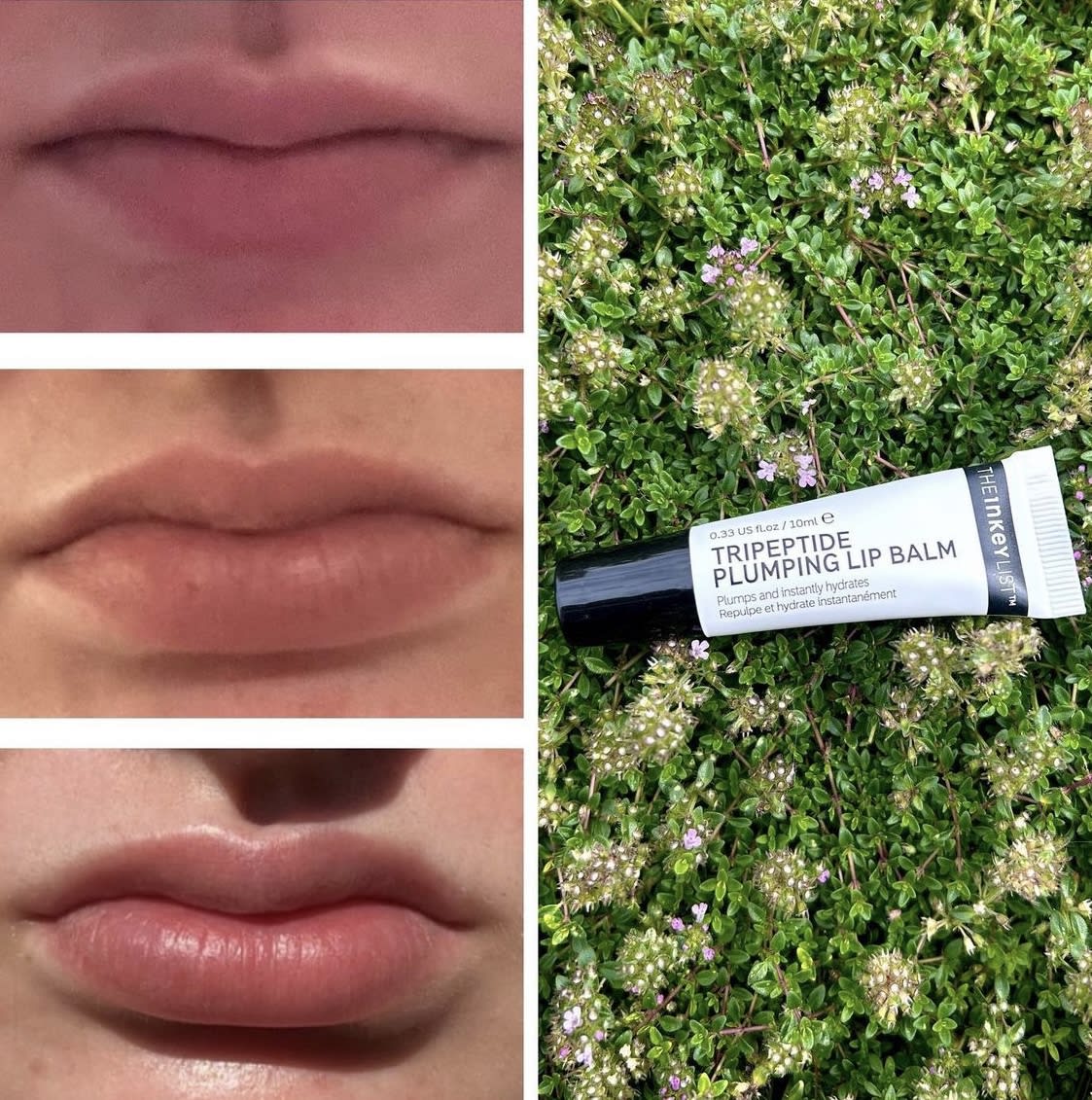 Tripeptide Plumping Lip Balm | The Inkey List | - We Are Eves: honest ...